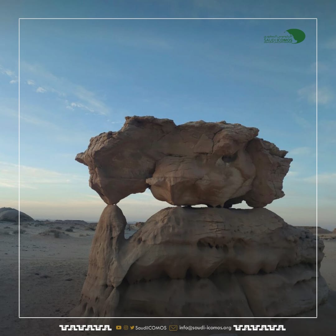 البوم صور – الآيكوموس السعودية